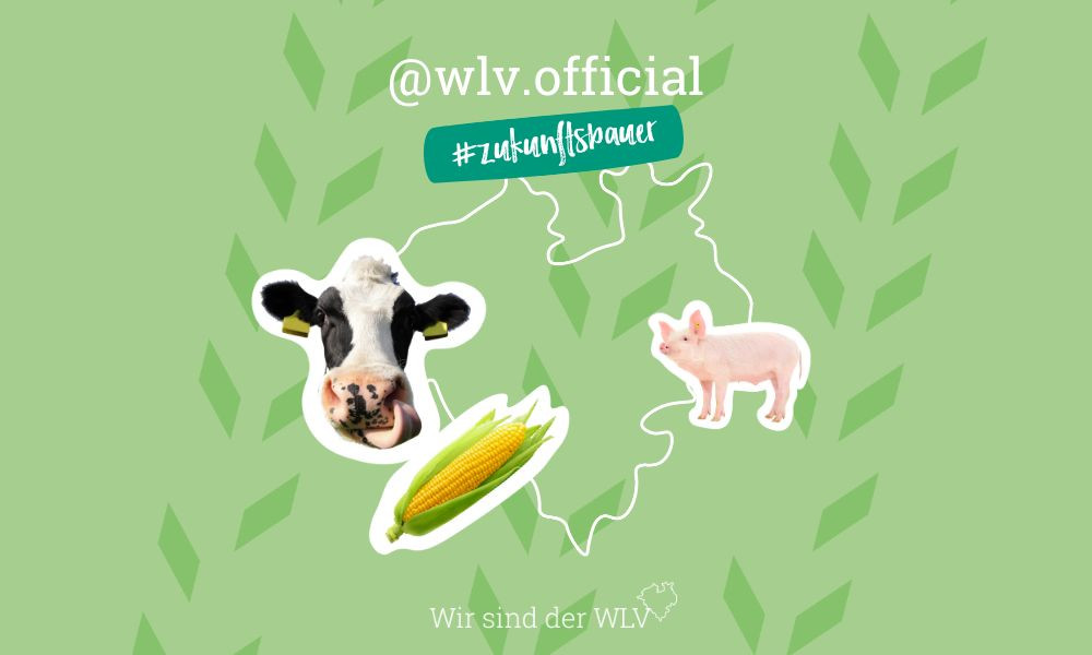 @wlv.official | Der Instagram-Auftritt des WLV im neuen Look