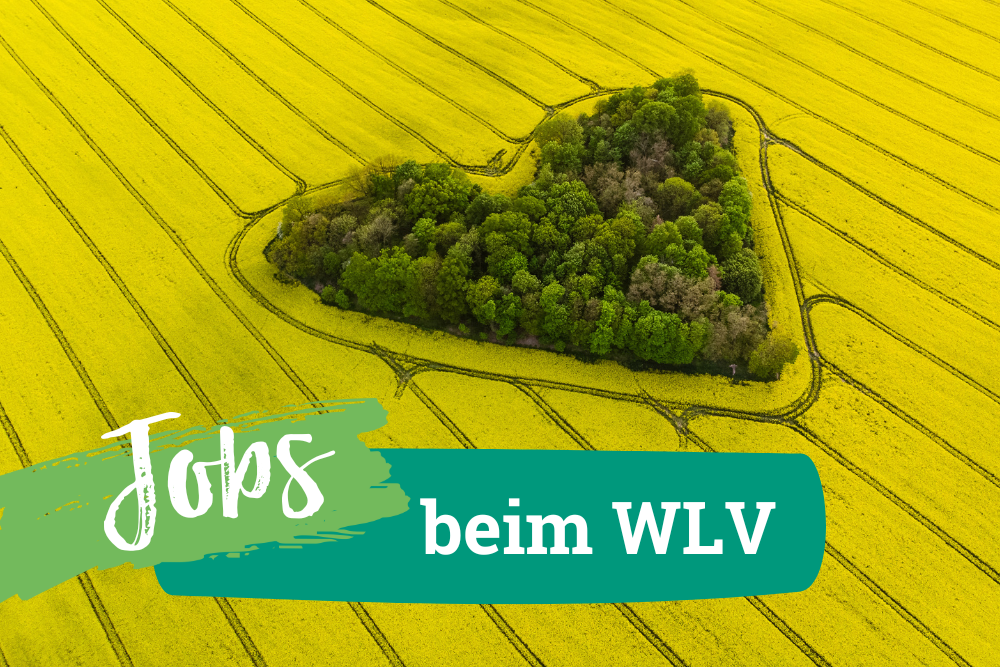 VErband | Stellen frei beim WLV